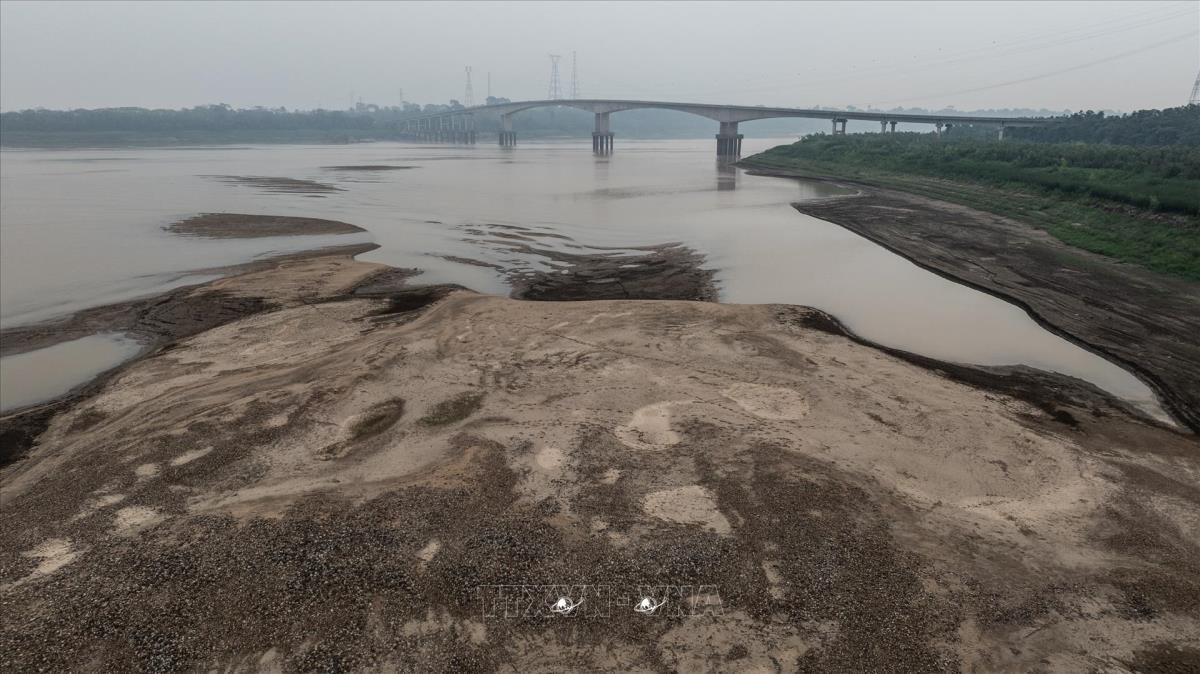 Saudi Arabia công bố sáng kiến chống hạn hán